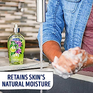 Softsoap Liquid Hand Soap, Wild Basil & Lime, 13 Ounce, 4 Pack