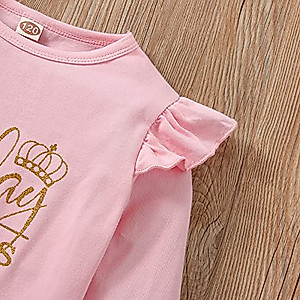 Toddler Kids Baby Birthday Girl Shirt Girls Birthday tee Outfit Toddler Baby 2nd 3rd 4th 5th 6th 7th Princess Vest Long Sleeve T-Shirts Top