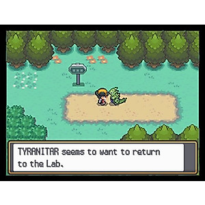 Pokemon HeartGold Version