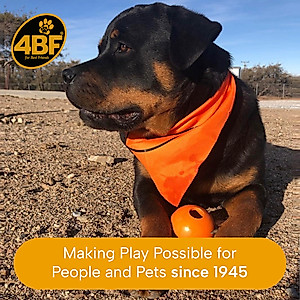 4BF Crazy Bounce, Natural Rubber Dog Ball, Dog Treat Dispenser, Durable & Interactive Dog Toys, Fillable Dog Fetch Ball, Peanut Butter-Scented Rubber Balls for Dogs, Aqua, Size L