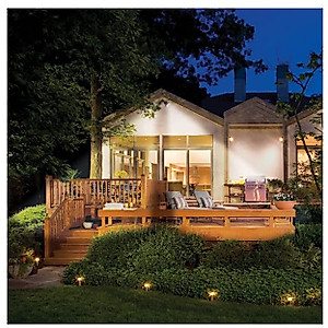 GE Lighting GE Ultra Bright LED Light Bulbs, Outdoor Floodlight Bulb, Wet Rated, Daylight (2 Pack) 93129227