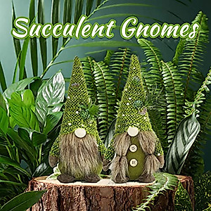 Mailin 2Pcs Succulent Gnomes Plush Green Gnomes Decorations for Home Tiered Tray Decor Farmhouse Decor Tomte Scandinavian Gnomes Dolls Gift for Plant Lover