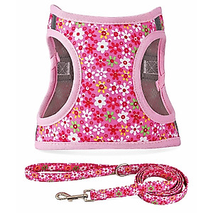 Moonpet Step in Air Dog Harness Leash Set- All Weather Reflective No-Pull Floral Pattern Padded Mesh Vest Harness for Cats Puppy Extra-Small Small Medium Large Dogs - Pink Flower - XXS