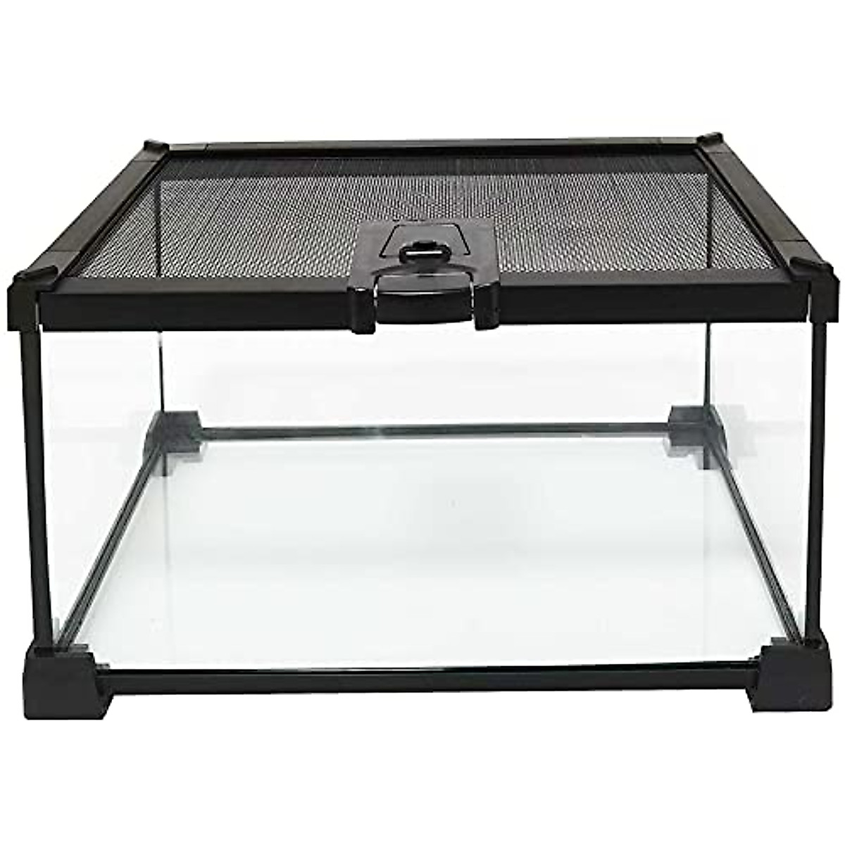 kathson Mini Reptile Glass Terrarium Tank 12"x8"x6" Amphibians Habitat Cage Full View Visually Appealing Sliding Screen Top for Bearded Dragons Lizards Geckos Hermit Crab Frog