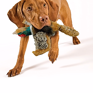 ALL FOR PAWS Classic Dog Pheasant Toys, Squeaky Dog Toys Stuffed Animal Dog Hunting Plush Toy, Large