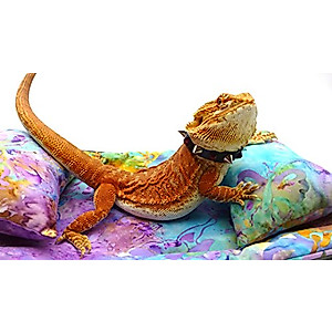 Chaise Lounge for Bearded Dragons, Watercolor Flowers Fabric