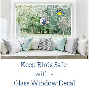 Glass Door Stickers Decals – 2 Per Pack - Printed on Both Sides - Windows, Doors, Patio, Sliding, & Shower, Removable and Repositionable. Dogs, Cats, Pets, Kids, Guests, Elderly, Bird Alert