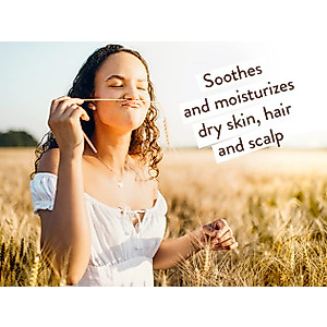 Babo Botanicals Moisturizing Oat & Calendula Conditioner - Silicone-Free - For Dry or Sensitive Skin - For all ages - Vegan - Lightly Scented