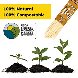 HAY! Straws | Jumbo Tall 8" Drinking Straws | 250 Count Bulk Straws | 5-7.5mm diameter | Reed Stem Straws |100% Plant-based | Certified Compostable Disposable Straws