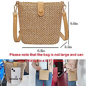 Gogobear Women Small Straw Crossbody Bag Summer Woven Bucket Bag Handmade Purse Clutch Bag for Travel Vacation,White