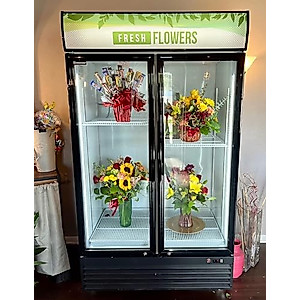 Procool Refrigeration Glass 2 Door Floral Display Cooler "Fresh Flowers" Design; 35 Cubic Ft., 45" Wide