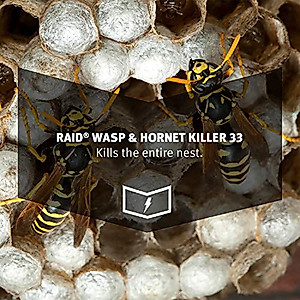 Raid Wasp and Hornet Spray- 17.5 ounces - 3 Pack