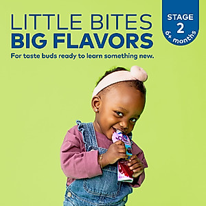 Plum Organics Stage 2 Organic Baby Food - Pear and Mango - 4 oz Pouch (Pack of 12) - Organic Fruit and Vegetable Baby Food Pouch