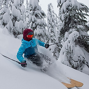 BLACKSTRAP Team Hood Dual Layer Adjustable Balaclava Ski Mask, Over or Under Helmet Compatible, Adult Unisex, One Size Fits All