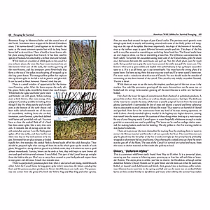 Foraging for Survival: Edible Wild Plants of North America