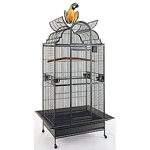 New Large Elegant Wrought Iron Dome Play Top Bird Parrot Cage, Include Metal Seed Guard Solid Metal Feeder Nest Doors (24" W x 22" D x 63" H, Black Vein)