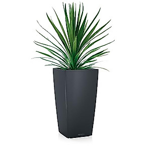 Lechuza 13164 Cubico Color 22 Self-Watering Planter for Indoor and Outdoor Use, 9" x 9" x 16", Slate Matte