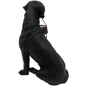 Black Labrador Dog with Lantern Garden Solar Light