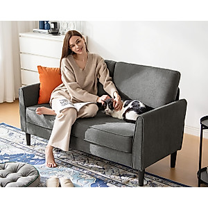 LINSY 58" W Loveseat Sofa, Small Couch Modern Comfy Couch for Bedroom and Living Room, Small Loveseat for Small Spaces, Easy Assembly, Dark Grey