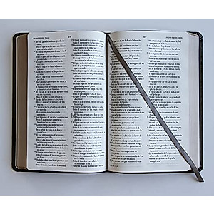 Biblia RVR 1960 letra grande tamaño manual, simil piel gris con nombres de Dios / Spanish Bible RVR 1960 Handy Size Large Print Leathersoft Grey, Names of god