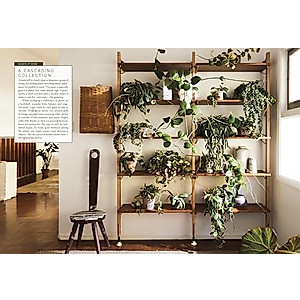 Terrain: The Houseplant Book: An Insider’s Guide to Cultivating and Collecting the Most Sought-After Specimens