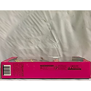 Butterfly Art BARBIE Doll w Cool Decorations (1998)