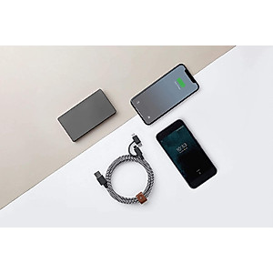 Native Union Belt Cable Universal - 6.5ft Ultra-Strong Reinforced [MFi Certified] Durable Charging Cable with 3-in-1 Adaptor for Lightning, USB-C and Micro-USB Devices (Zebra)