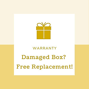 Onebttl Sunflower Gifts for Sunflower Lovers, 20oz Insulated Stainless Steel Tumblers with Lids and Straws, Best Sunflower Gifts for Best Friend, Christmas, Birthday