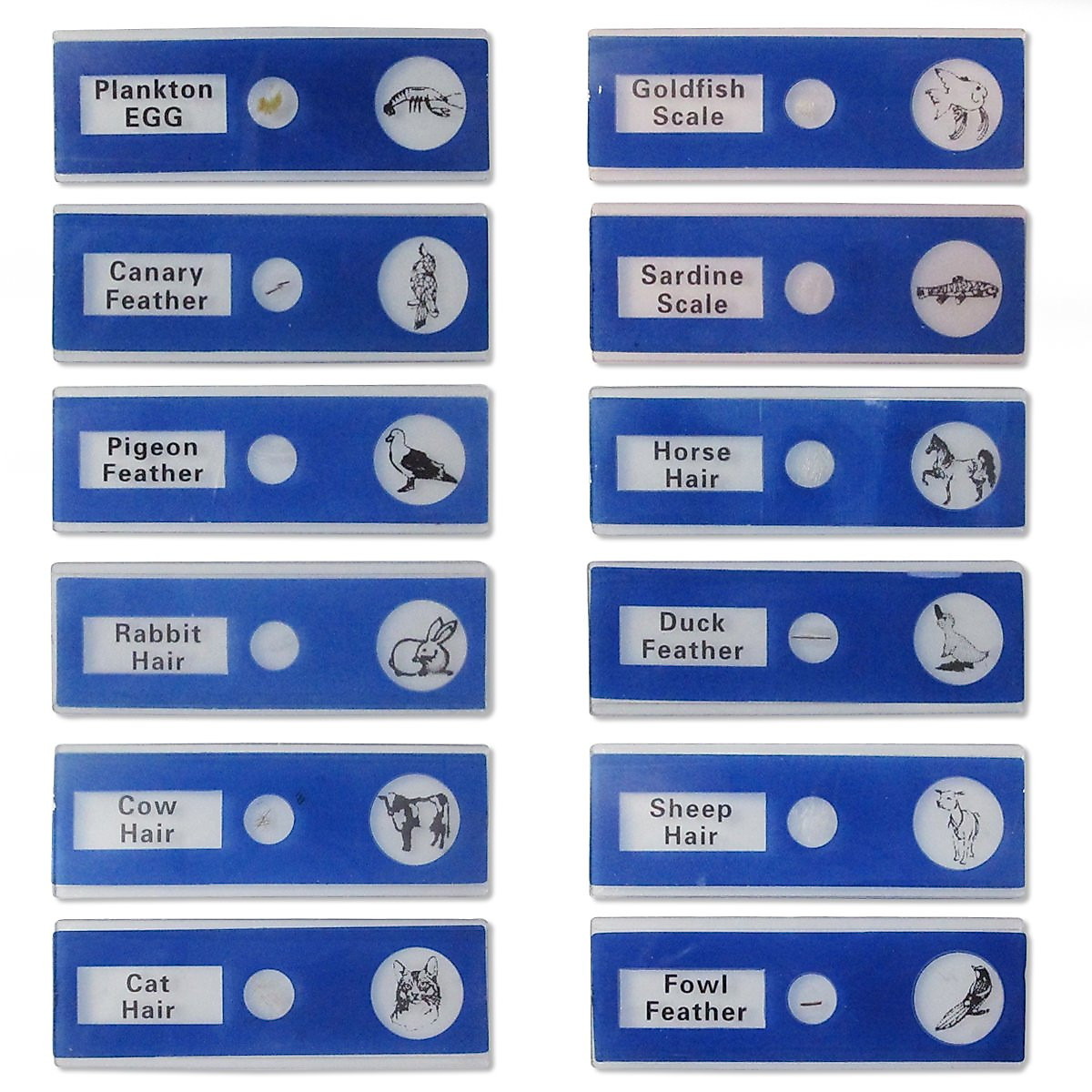 Prepared Microscope Slides Set of 48 pcs Animals Insects Plants Flowers Sample Specimens for Kids Education