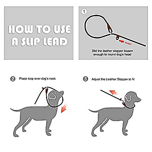 Fida Durable Slip Lead Dog Leash, 6 FT x 1/2" Heavy Duty Dog Loop Leash, Comfortable Strong Rope Slip Leash for Large, Medium Dogs, No Pull Pet Training Leash with Highly Reflective, Black