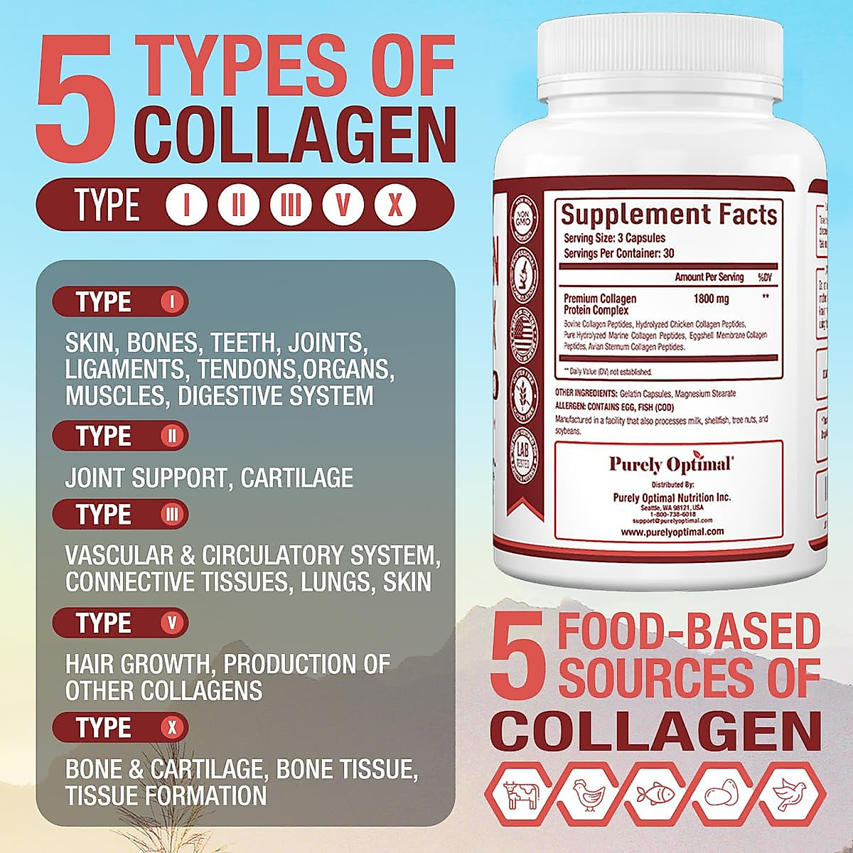 Purely Optimal Premium Multi Collagen Peptides Capsules (Types I, II, III, V, X) - Hair, Skin and Nails, Digestive & Joint Health Supplement, Hydrolyzed Collagen Pills (90 Capsules)