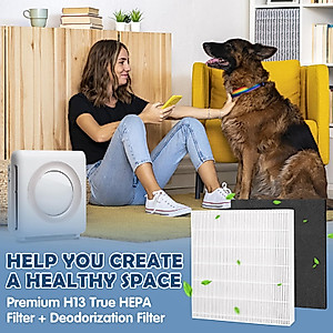 VIEWALL AP-1512HH Filter Replacement for Coway AP-1512HH, AP-1518R, AP-1519P, Includes 2 Pack Ture Filters + 2 Pack Activated Carbon Pre-Filters