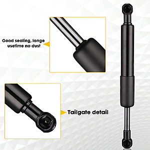 M1A2 Tailgate Assist Fits 09-18 RAM 1500/19-22 RAM 1500 Classic /10-22 RAM HD