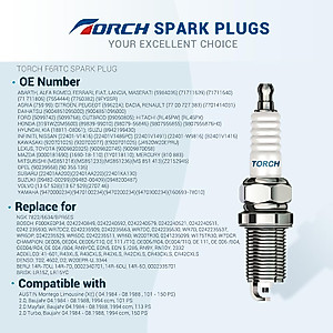 PK2 TORCH F6RTC Spark Plug Replace for NGK 7131 BPR6ES Spark Plug, for Bosch WR6DC WR7DC Spark Plug, for Champion RN9YC RN10YC Spark Plug,for Denso W20EPR-U Spark Plug,for MTD 951-10292/751-10292,OEM