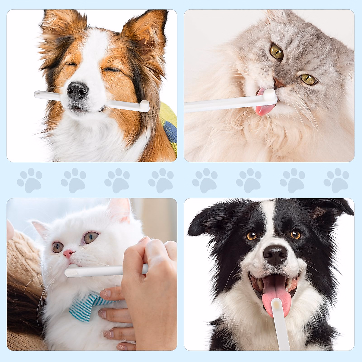 Newday Small Dog & Cat Toothbrush 5 Set, Micro Nano Bristles to Clean pet Teeth Toothbrushes, Puppy Dogs Pet Tooth Cleaning Kit with Storage Box（White