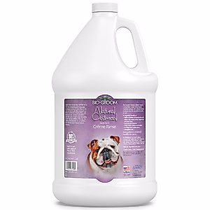 Bio-Groom Oatmeal Dog Conditioner – for Allergies and Itching, Cruelty-Free, Dog Bathing Supplies, Puppy Conditioner for Sensitive Skin, Made in USA, Anti-Itch Dog Products – 1 Gallon