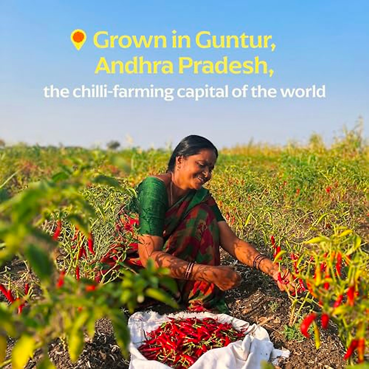 Diaspora Co. Guntur Sannam Chillies | Single-Origin Chili Powder | Medium Heat | All-purpose | 57g Everyday Tin