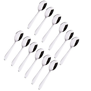 SLNDOKTG Stainless Steel Spice Box Spoons Set of 12 (Silver)