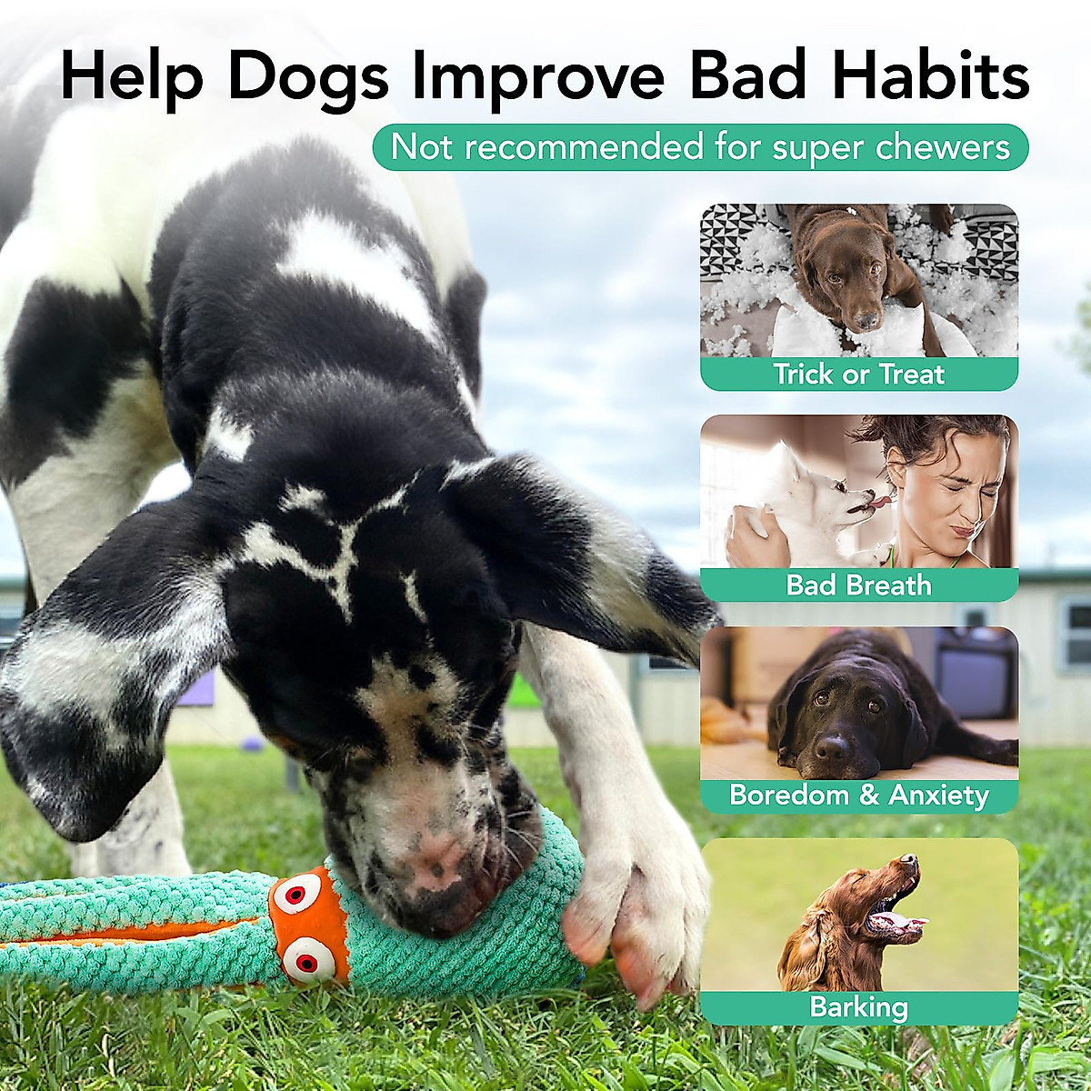 Wigglo Dogs Plush Toys, Squeaky Octopus Dog Stuffed Toys, Durable Dog Chew Toys for Puppy Small Medium Large Boredom Dogs Interactive, Tug-of-war, Stimulating, Teething (Green)