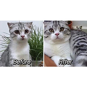 X2 Pcs(100ml) Multivitamin Daily Essential Cat Food Vitamins & Minerals Omega3, Helps Support Health, More Fat, Digestion, Skin, Coat, Allergy Immune Supplement Nourished Blood & Eye