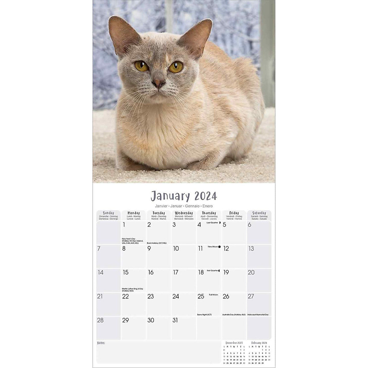 2023 2024 Burmese Cats Calendar - Cute Animal Monthly Wall Calendar - 12 x 24 Open - Thick No-Bleed Paper - Giftable - Academic Teacher's Planner Calendar Organizing & Planning