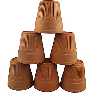Odishabazaar Terracotta(Real Mitti) Baked Kullad - Set Of 6 using for Tea And Coffee 100/120ml