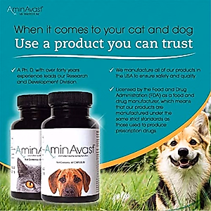 AminAvast Kidney Support Supplement for Cats and Dogs, 300mg - Promotes Natural Kidney Function - Aids in Health and Vitality of Aging Kidneys - Easily Administered - 60 Sprinkle Capsules