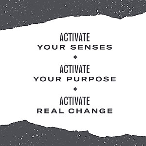 Numi Organic Chocolate Rooibos Tea, 16 Tea Bags (Pack of 6), Red Tea with Cocoa, Honeybush & Vanilla (Packaging May Vary)