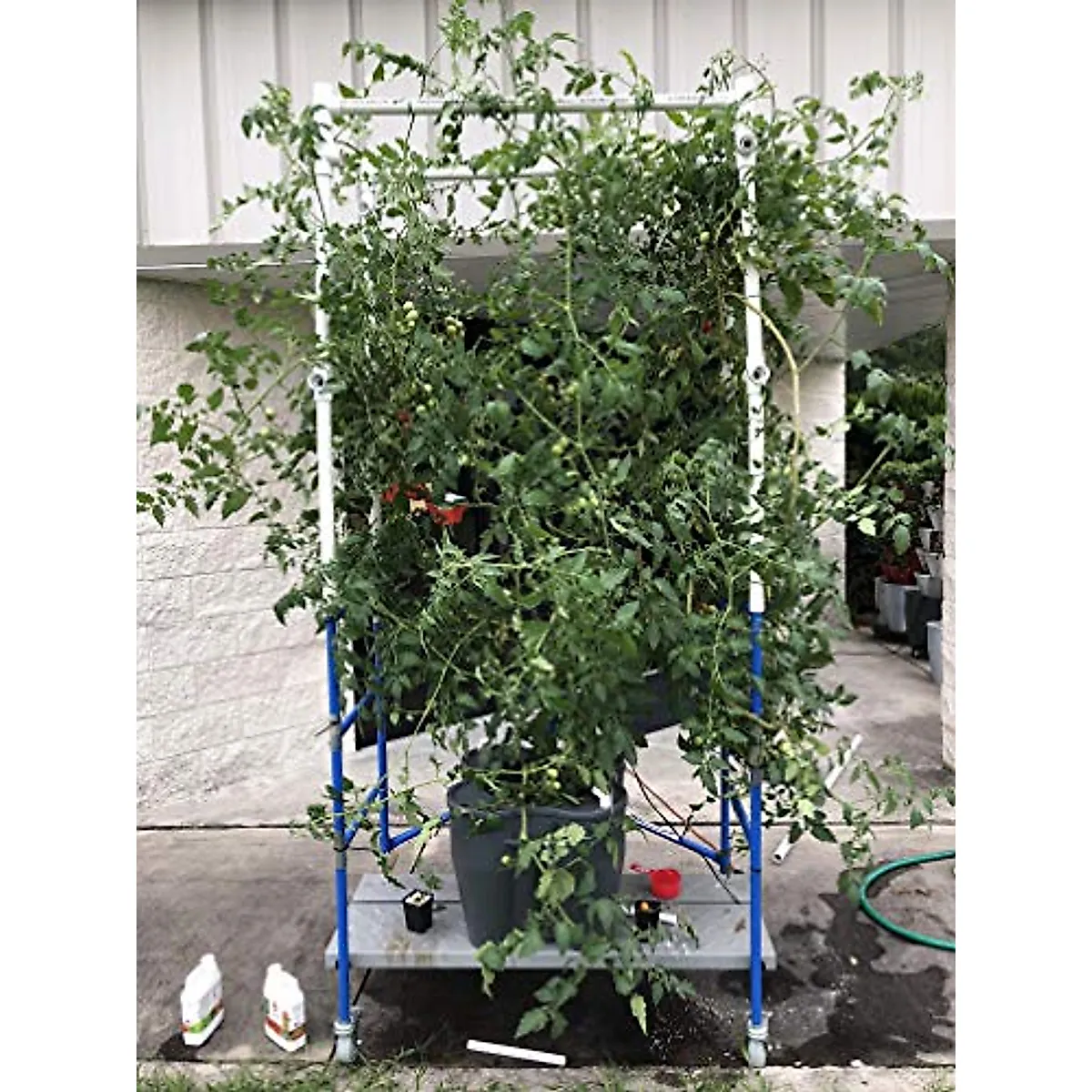 DWC Hydropoinc System Kit (4)