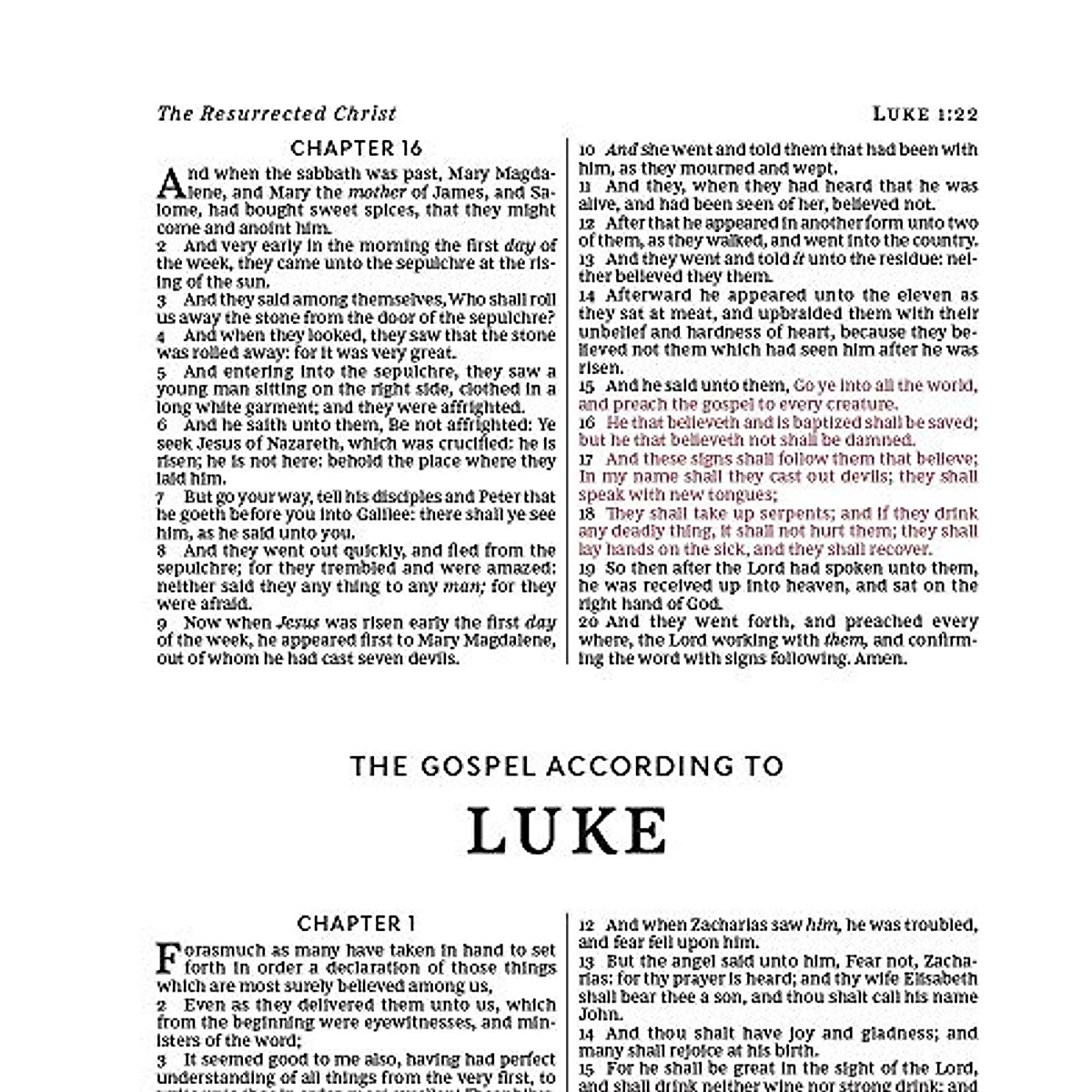 Personalized Bible Custom Text Your Name KJV Deluxe Gift Holy Bible Pink Leathersoft King James Version Custom Made Gift for Baptism Christenings Birthdays