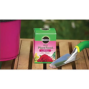 Miracle-Gro VB02199 Plant Food Water Soluble Rose, 1.5 lb,
