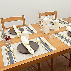 Winknowl Placemats, Set of 8 Heat Resistant Stain Resistant Non-Slip Woven Vinyl Insulation Placemats, Washable Durable Elegant Table Mats for Dining (Beige Blue)