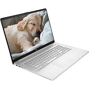 HP 17.3'' FHD IPS Display Business Laptop, AMD Ryzen 5 5500U Processor, Windows 10 Pro, 16GB RAM, 512GB SSD, Wi-Fi, Bluetooth, Webcam, Fingerprint Reader, Natural Silver