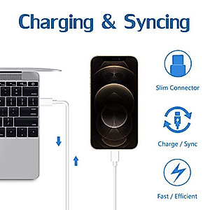 [Apple MFi Certified] iPad iPhone Charger Fast Charging Block with 2-Pack 6.6FT Lightning to USB Charging Cable Cord 12W Foldable Portable Wall Plug Compatible for iPad, iPad Pro/Air/Mini, iPhone